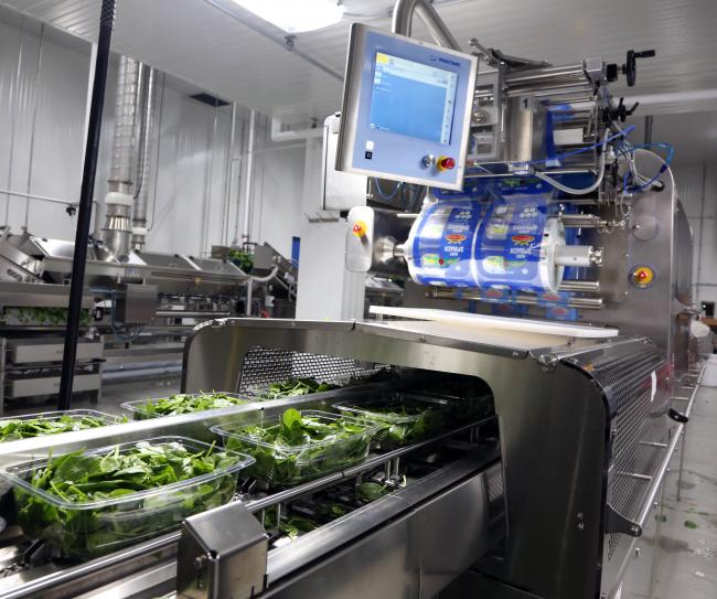 Used 2016 Multivac T850 Automatic Tray Sealer for sale!!! - High ...