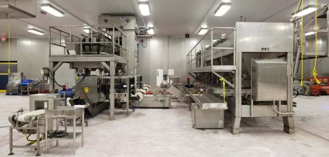 Used Twin Matrix Pro/Ishida Complete Packaging System for sale ...